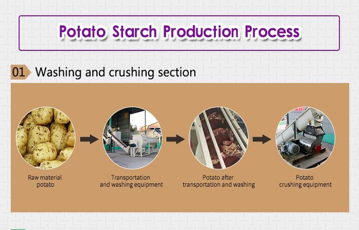 Potato starch processing machine|Starch production line