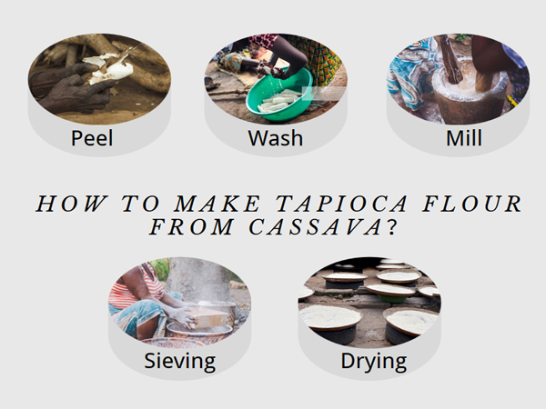 How to make tapioca flour from cassava？_FAQ